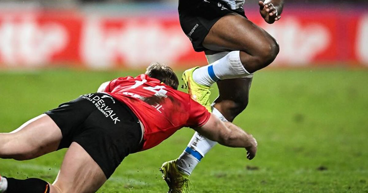 România, la CM 2027! „Stejarii” s-au calificat la Cupa Mondială ...