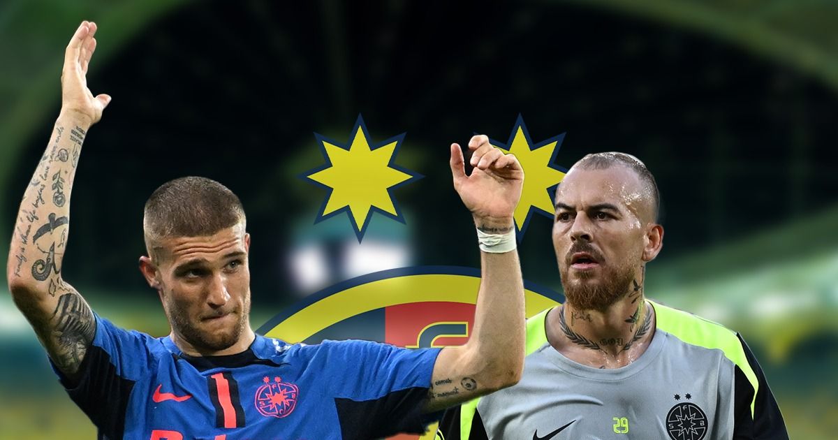 Revine Alibec? Ultimele detalii despre starea atacantului FCSB + care e ...