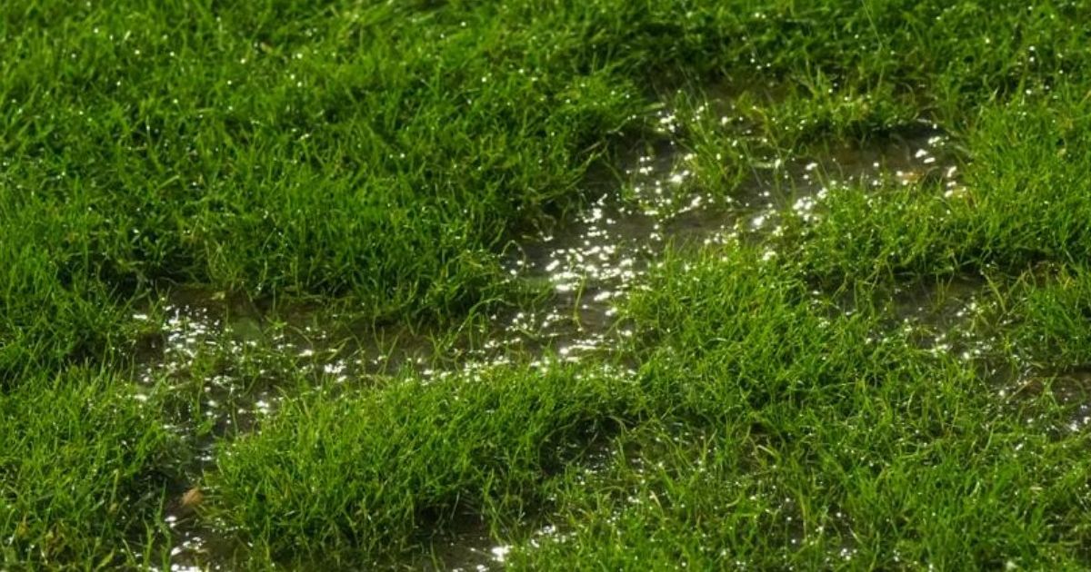 Bile albe, bile negre. Concluzii după Slobozia - Dinamo, un meci jucat ...
