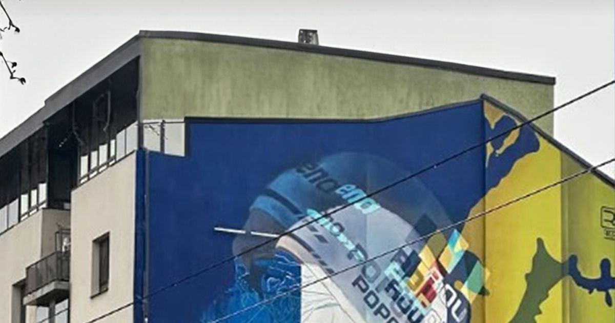 Mural cu David Popovici. Campionul olimpic va avea chipul pictat pe o ...